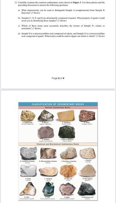 Solved 12. Carefully examine the common sedimentary rocks | Chegg.com