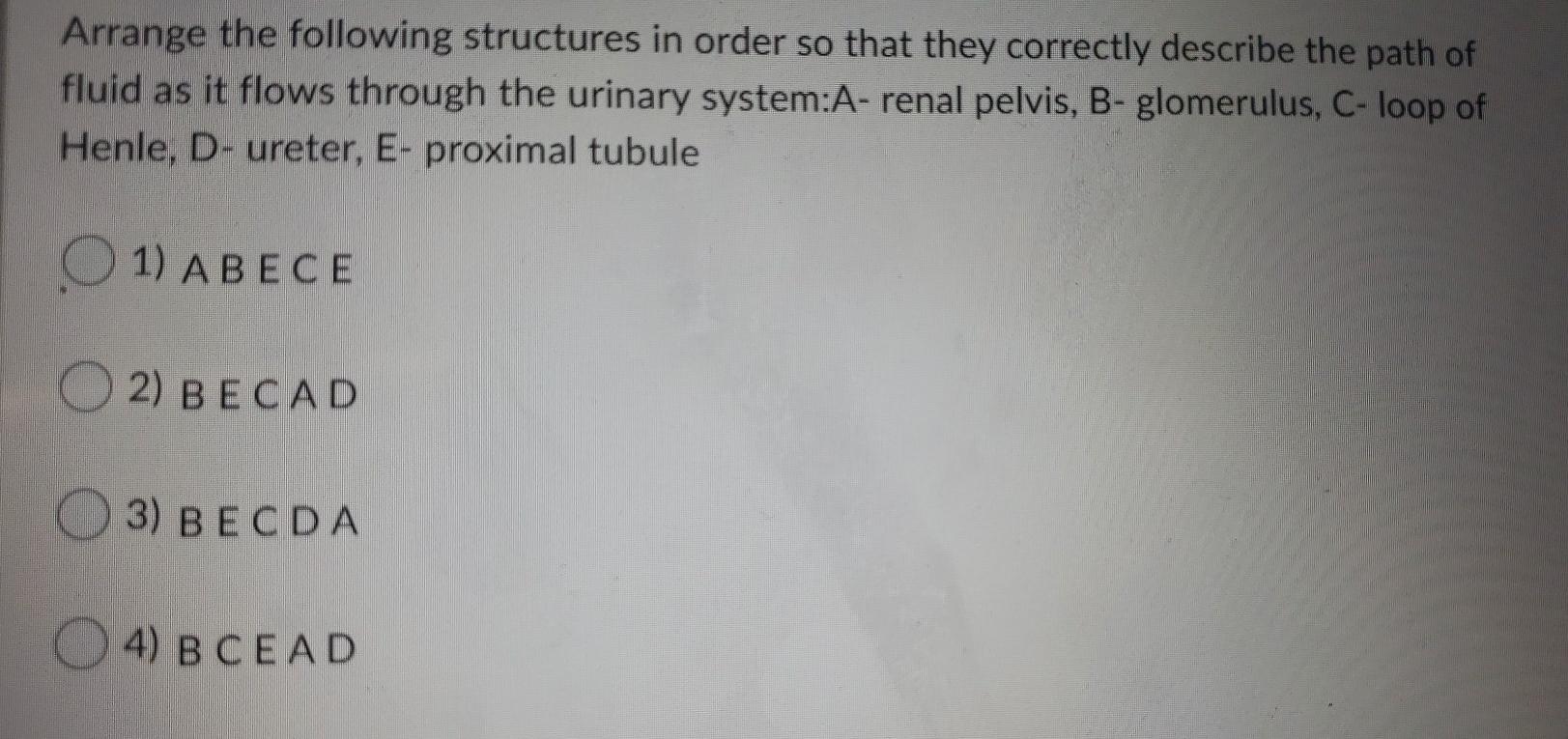 Solved Arrange the following structures in order so that | Chegg.com