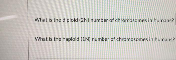 Solved What is the diploid (2N) number of chromosomes in | Chegg.com