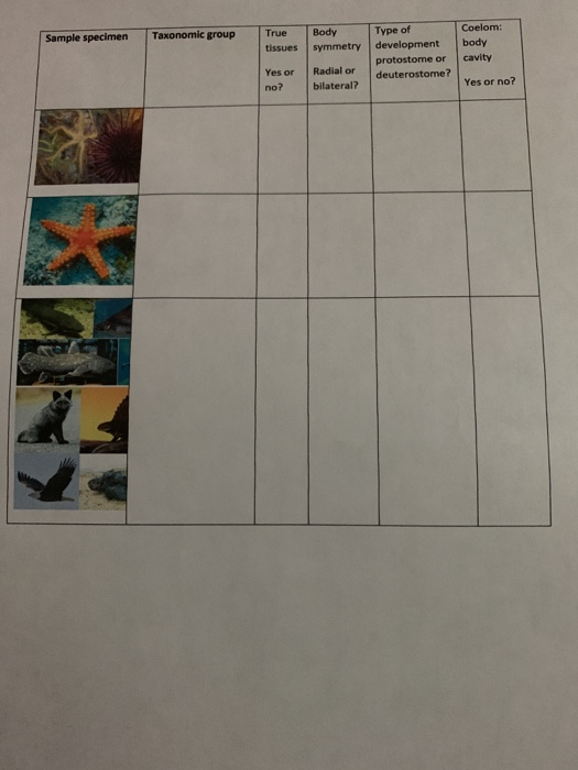 Solved Table 1. Selected animals and their characteristics. | Chegg.com