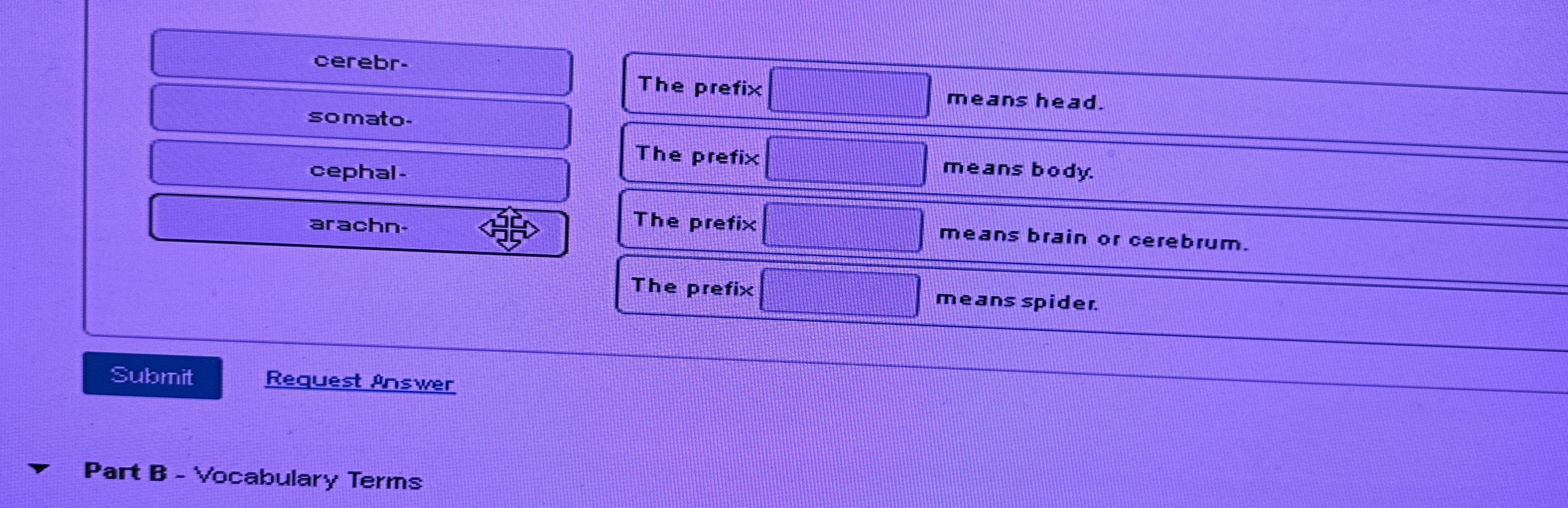 cerebr-somato.cephal-The prefix ﻿means head.The | Chegg.com