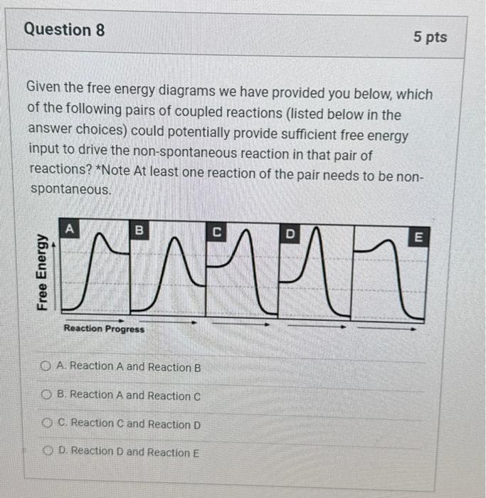 Solved Given the free energy diagrams we have provided you | Chegg.com