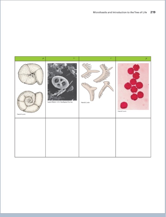 Solved Microfossils and introduction to the Tree of Life 219 | Chegg.com