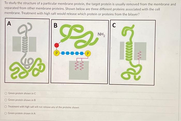 Solved To study the structure of a particular membrane | Chegg.com