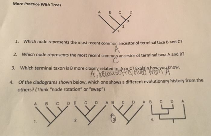 Solved More Practice With Trees А в со 1. Which node | Chegg.com