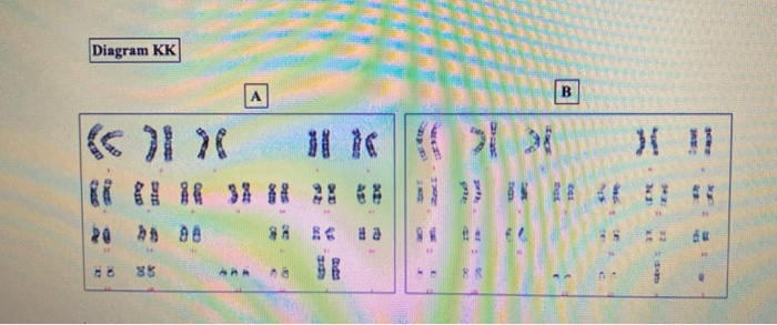Solved Diagram KK 20 23 28 | Chegg.com