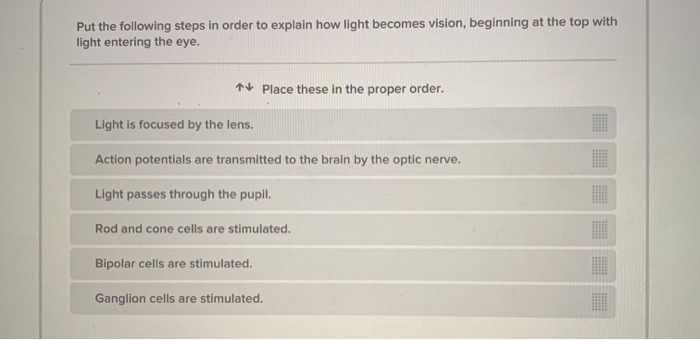 Solved put the following steps in order to explain how light | Chegg.com