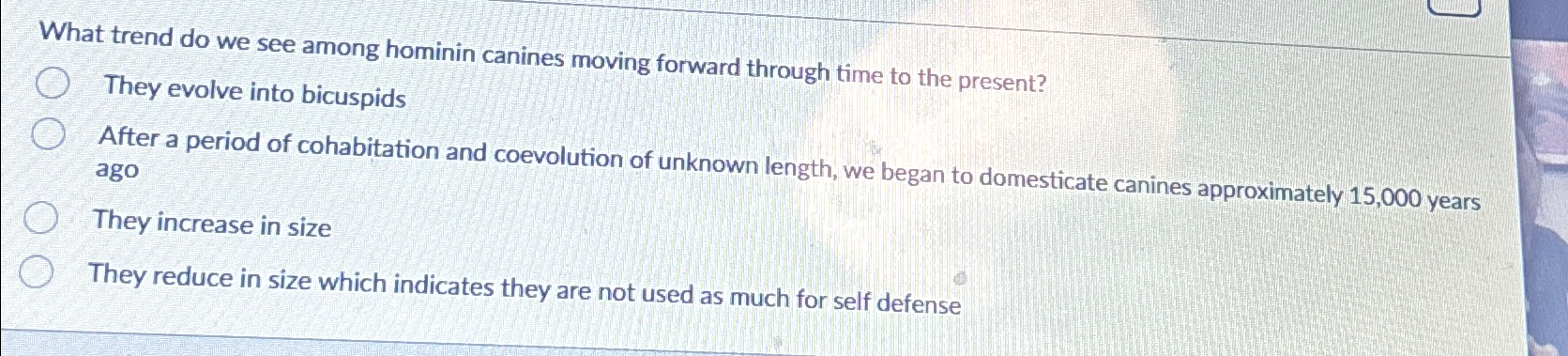 Solved What trend do we see among hominin canines moving | Chegg.com
