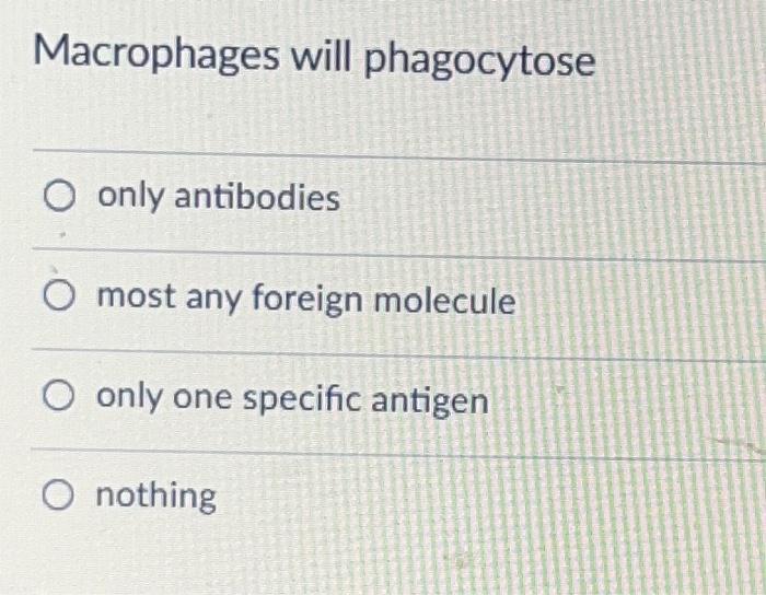 Solved Macrophages will phagocytose only antibodies most any | Chegg.com