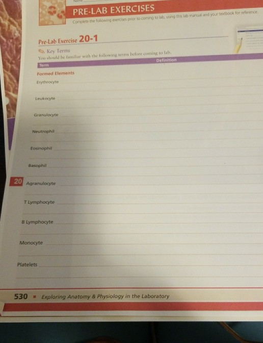 Solved PRE-LAB EXERCISES Complete the following exercises | Chegg.com