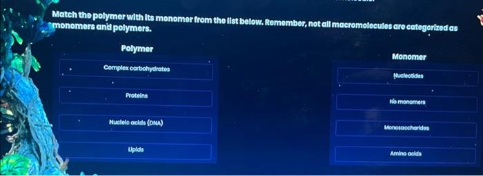 [solved] Match The Polymer With Its Monomer From The List B