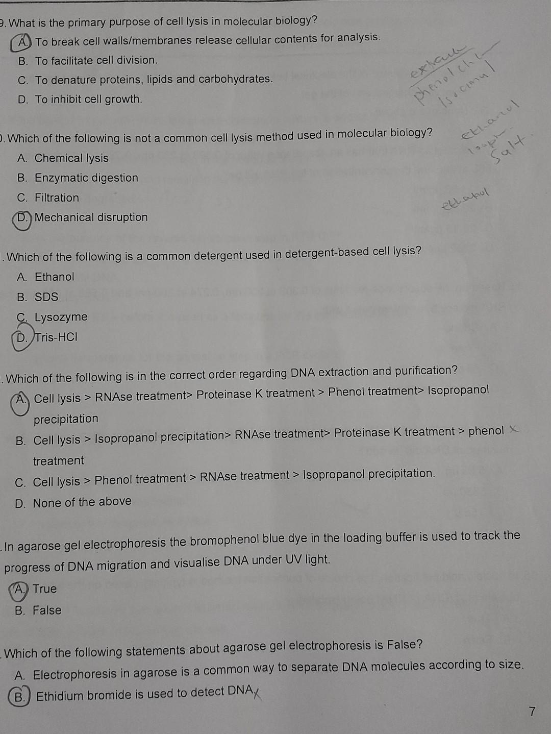 Solved 9.What is the primary purpose of cell lysis in | Chegg.com
