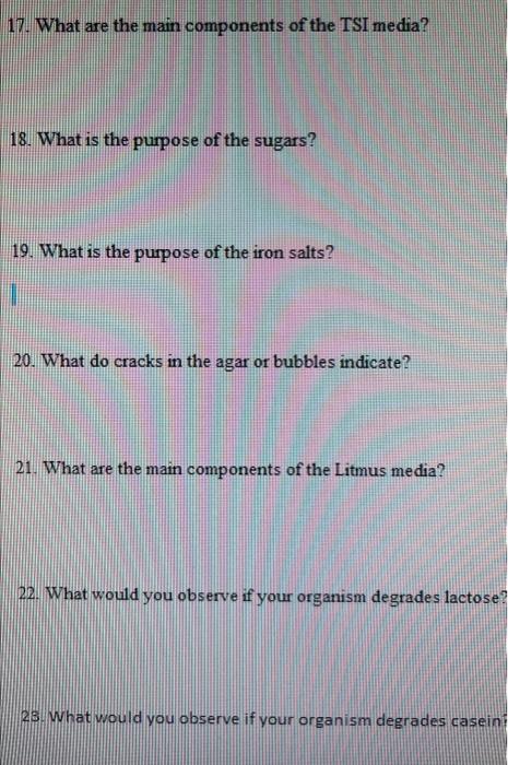 Solved 17. What are the main components of the TSI media? | Chegg.com