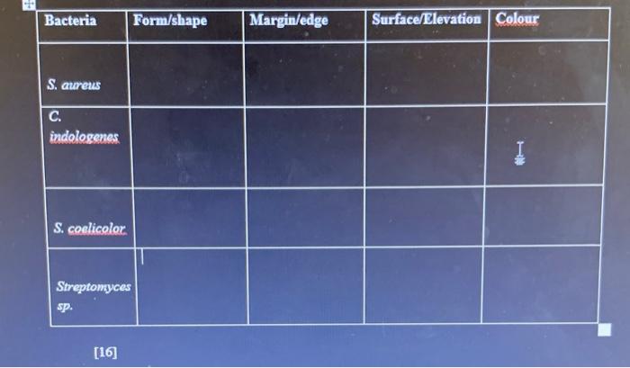 Solved Margin/edge Entire Surface/elevation Colour Convex | Chegg.com