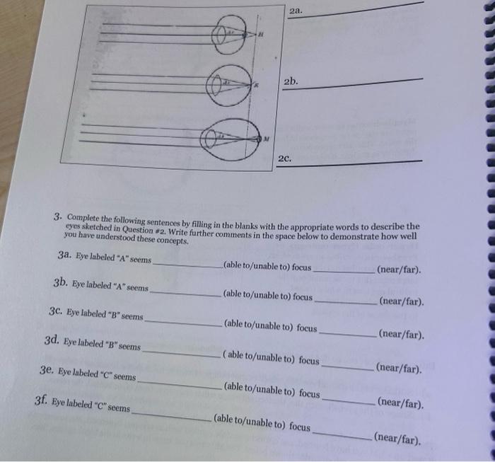 Solved 1. In the following questionk, circle True or False | Chegg.com