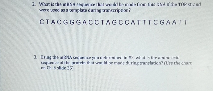 Solved What is the mRNA sequence that would be made from | Chegg.com
