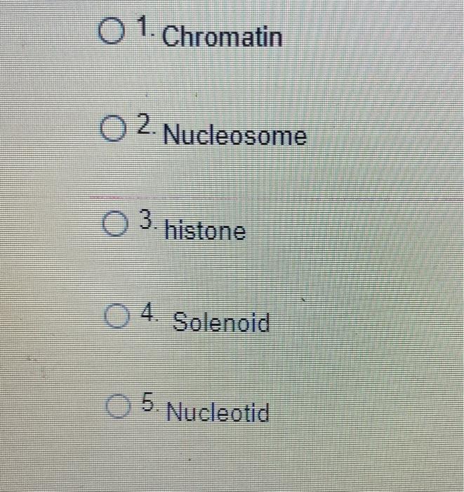 Solved A subunit Of DNA and protein consisting of | Chegg.com