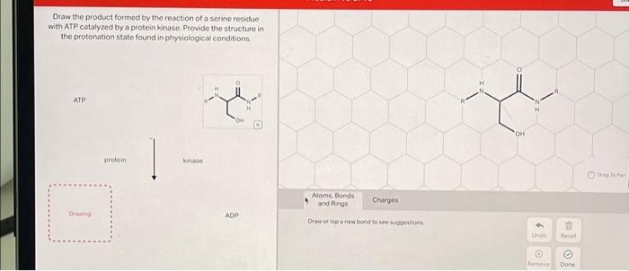 Solved Draw the product formed by the reaction of a serine | Chegg.com