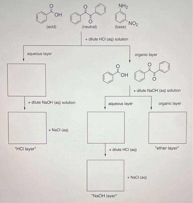 Solved (acid) (neutral) + dilute HCl (aq) solution aqueous | Chegg.com