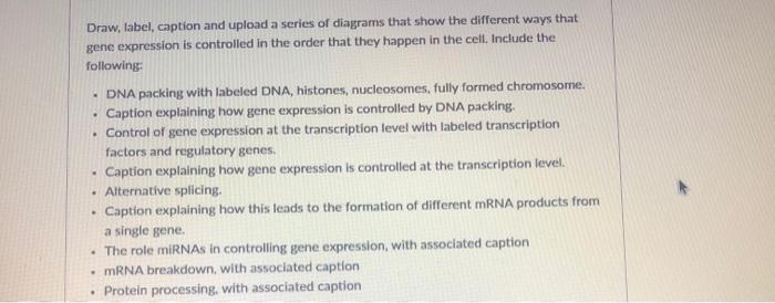 Solved . Draw, label, caption and upload a series of | Chegg.com