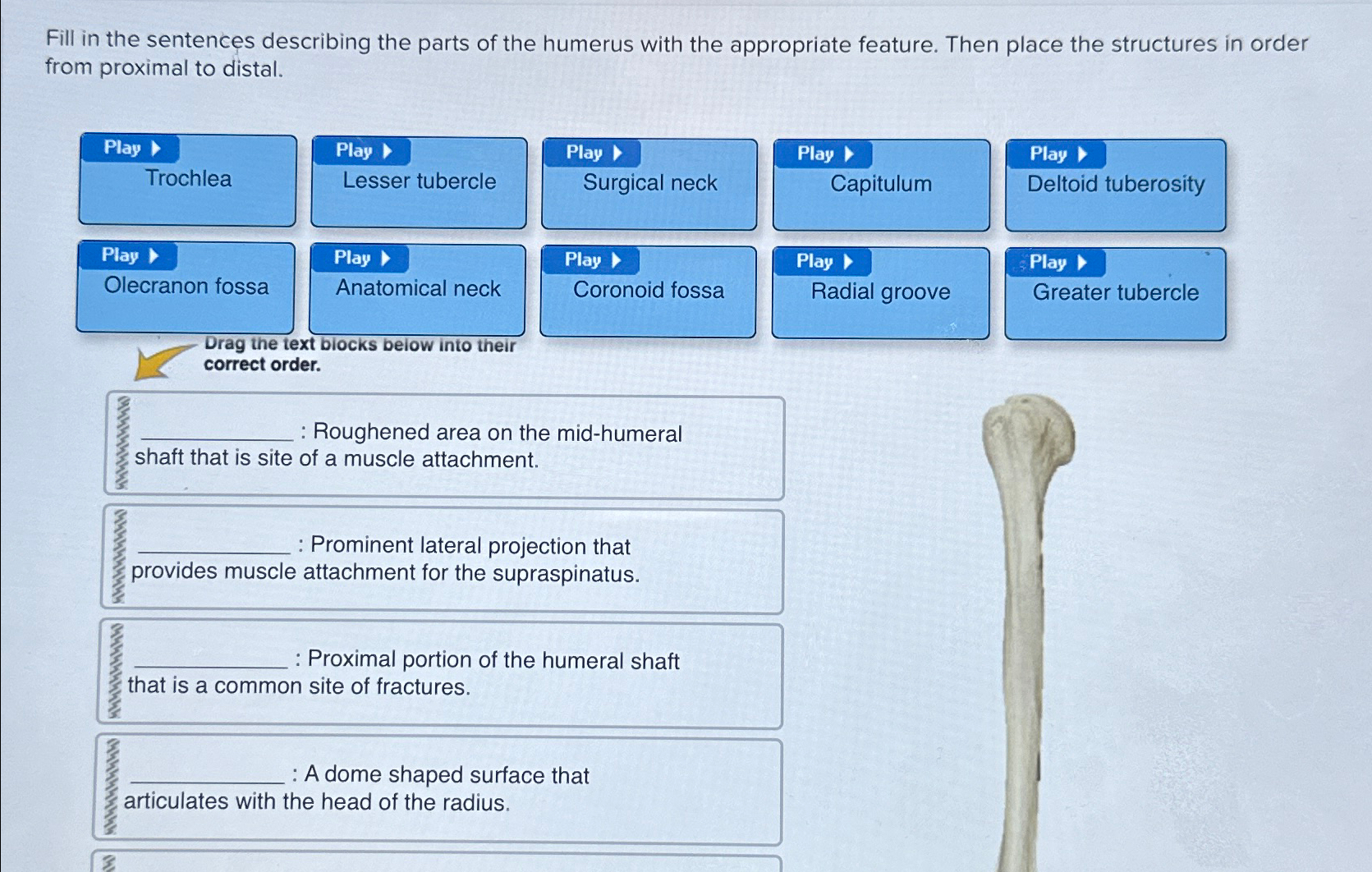 Solved Fill in the sentences describing the parts of the | Chegg.com