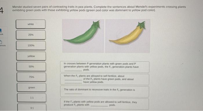 Solved In humans, the allele for dimples (D) is dominant to | Chegg.com