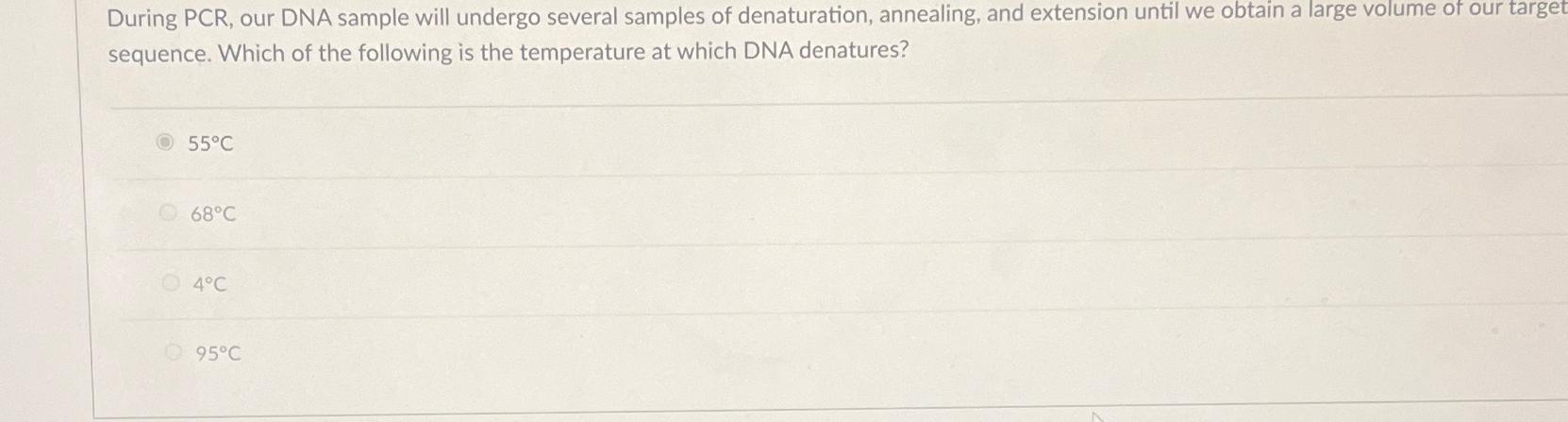 Solved During PCR, ﻿our DNA sample will undergo several | Chegg.com