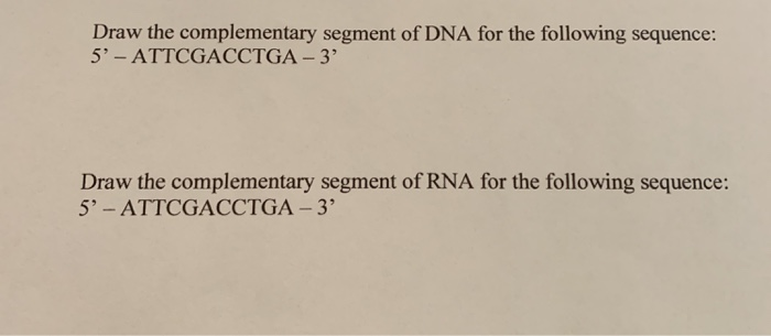 Solved Draw the complementary segment of DNA for the | Chegg.com