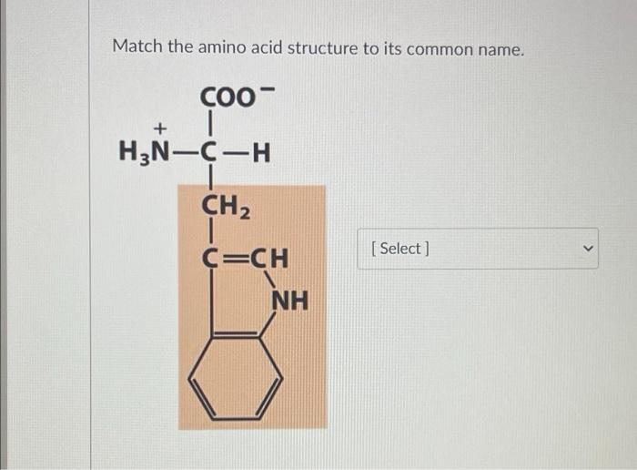 Solved Match the amino acid structure to its common name. | Chegg.com