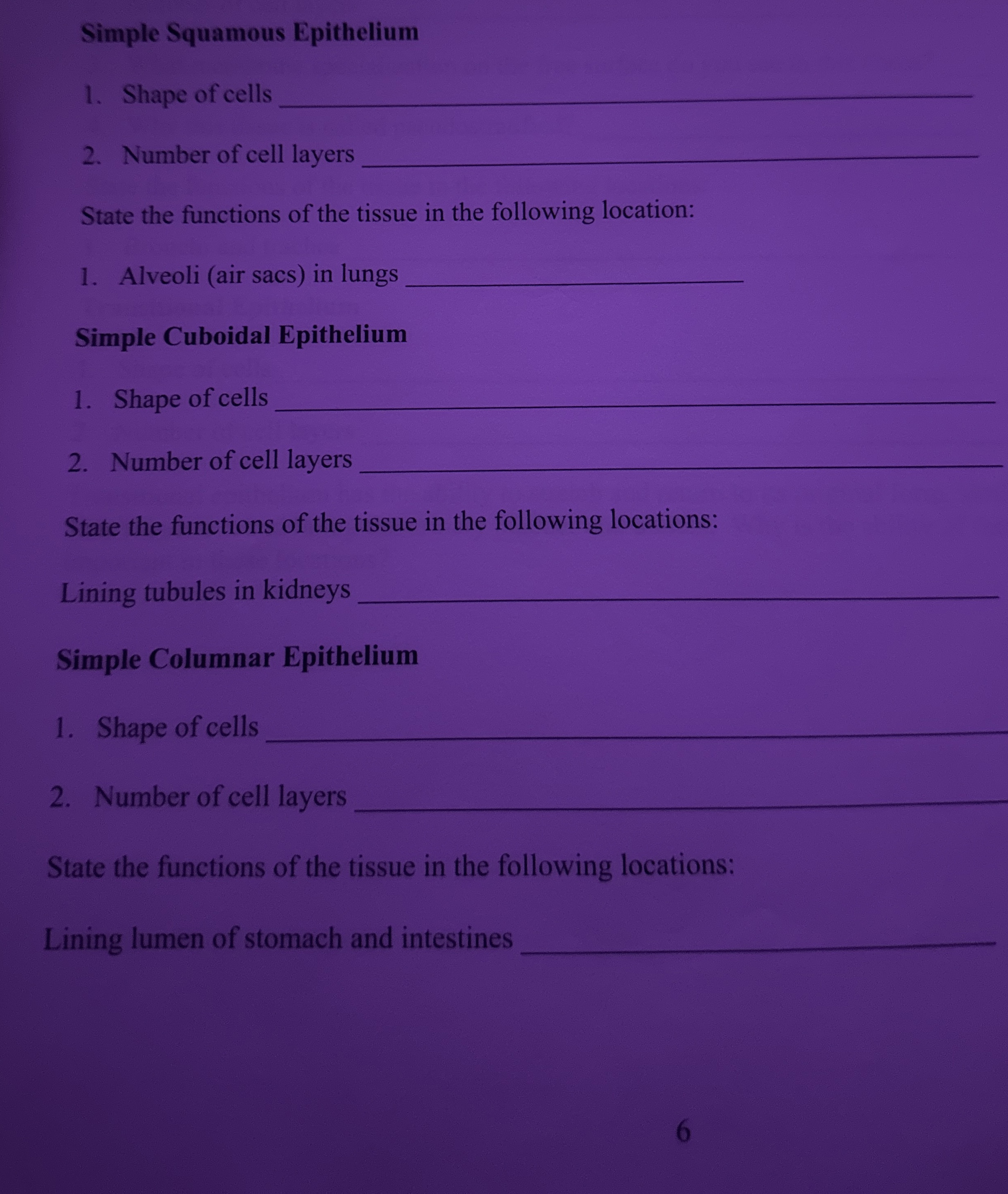 Solved Simple Squamous EpitheliumShape of cells q,Number of | Chegg.com