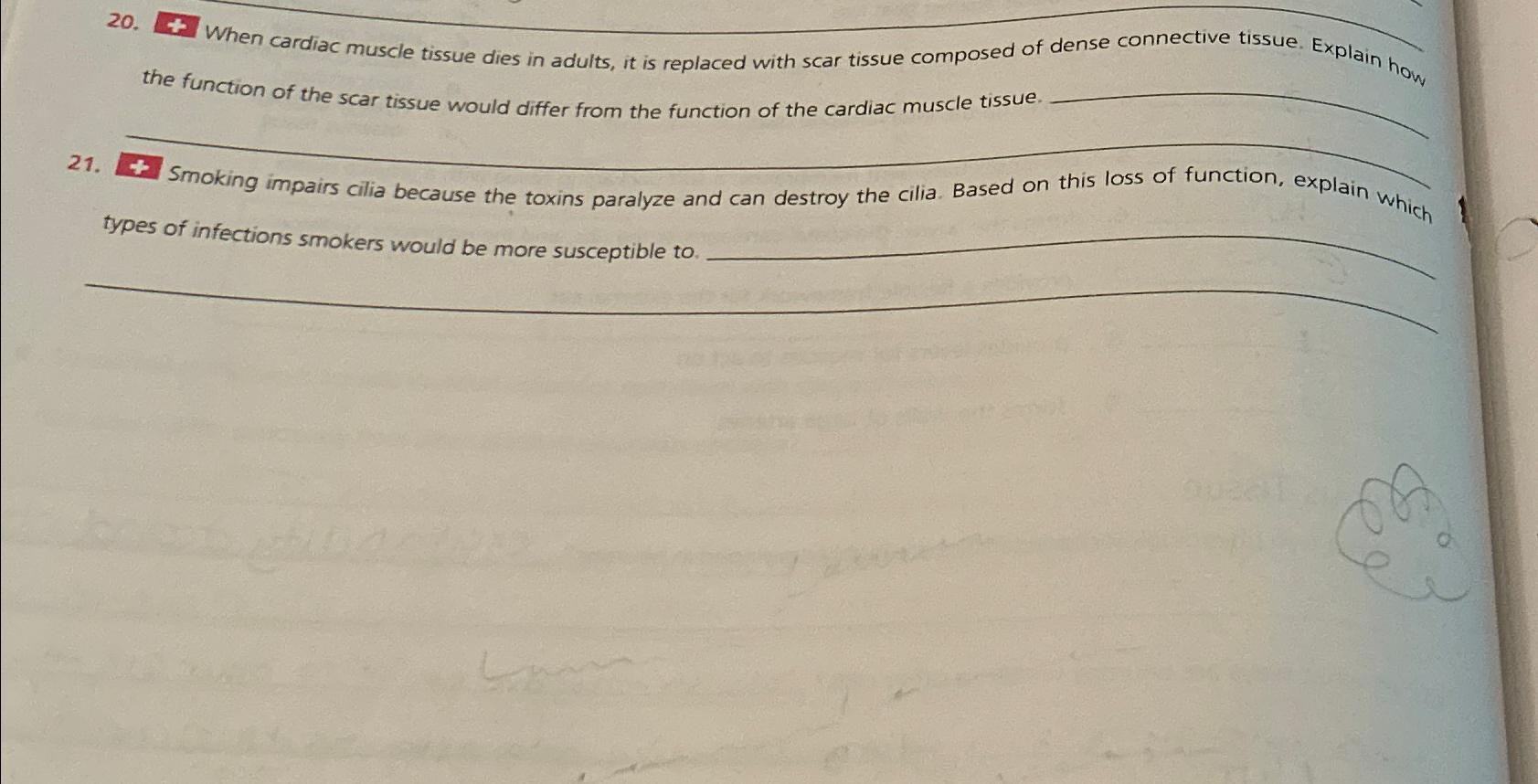 Solved सWhen cardiac muscle tissue dies in adults, it is | Chegg.com
