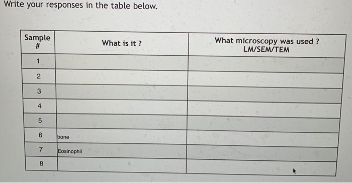 Solved Activity 3.Activity : Identifying Microscopic images. | Chegg.com