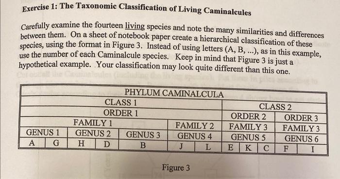 Solved I need to be shown a taxonomic classification of the | Chegg.com
