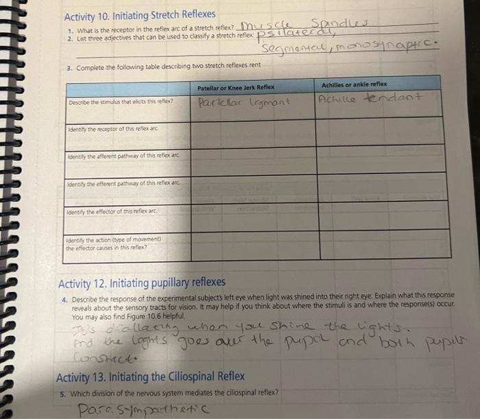 Solved Activity 10. Initiating Stretch Reflexes 1. What is | Chegg.com