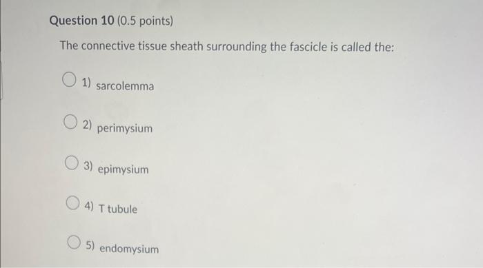 Solved The connective tissue sheath surrounding the fascicle | Chegg.com