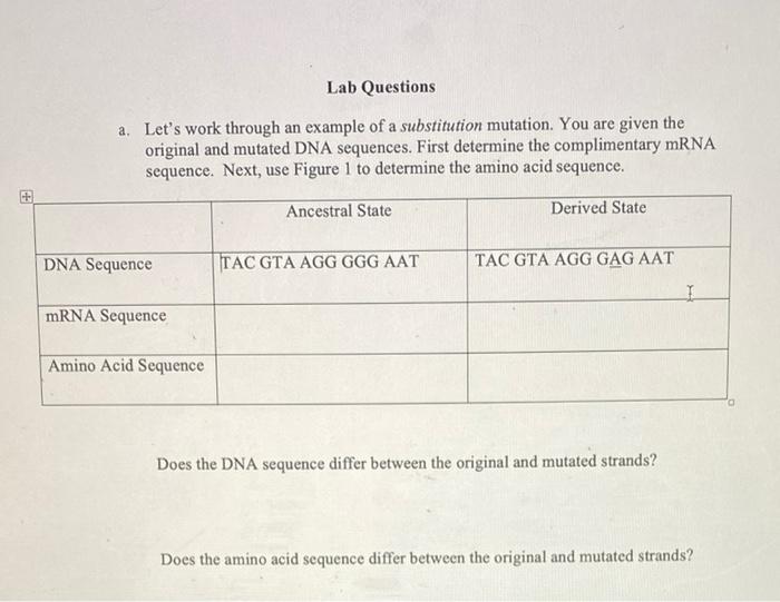 Solved mRNA Codon GCU. GCC, GCA, GCG CGU, CGC, CGA, CGG, | Chegg.com