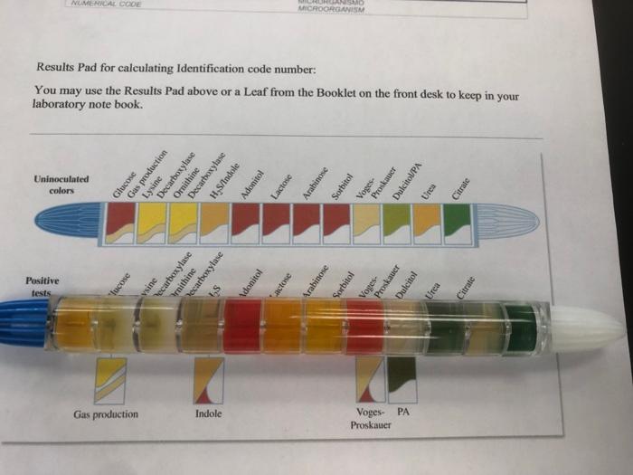 Solved FOR MICROBIOLOGY can someone please help me determine | Chegg.com