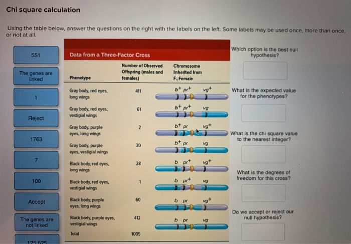 Chi square calculation Using the table below, answer | Chegg.com