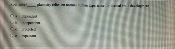 Solved Experience plasticity relies on normal human | Chegg.com