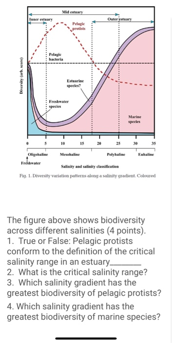 Solved M estuary Inner estuary - Pelagic protists Diversity | Chegg.com