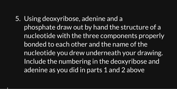 Solved 5. Using deoxyribose, adenine and a phosphate draw | Chegg.com