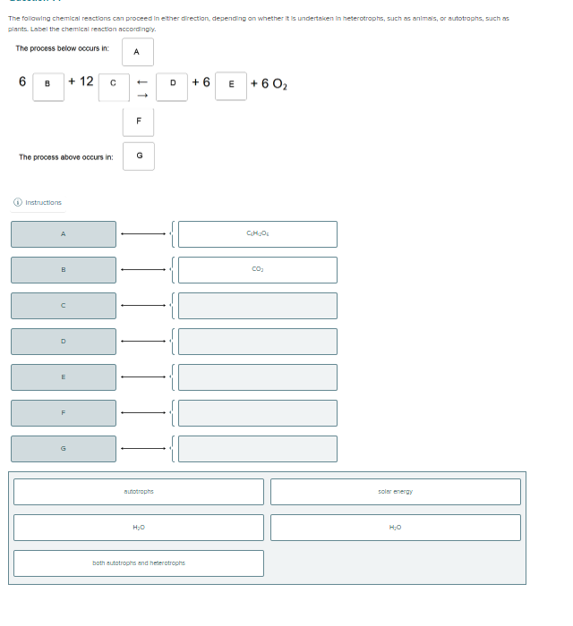 The following chemical renctlons can proceed in | Chegg.com