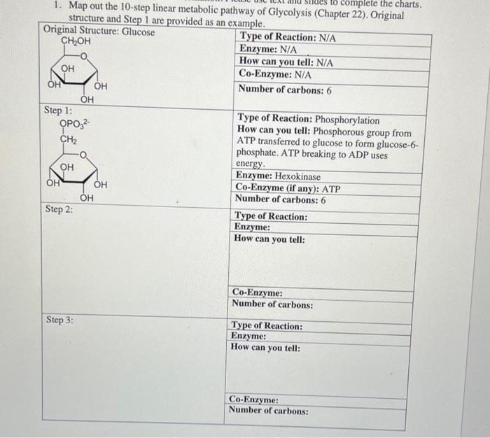 Solved 1. Map out the 10-step linear metabolic pathway of | Chegg.com