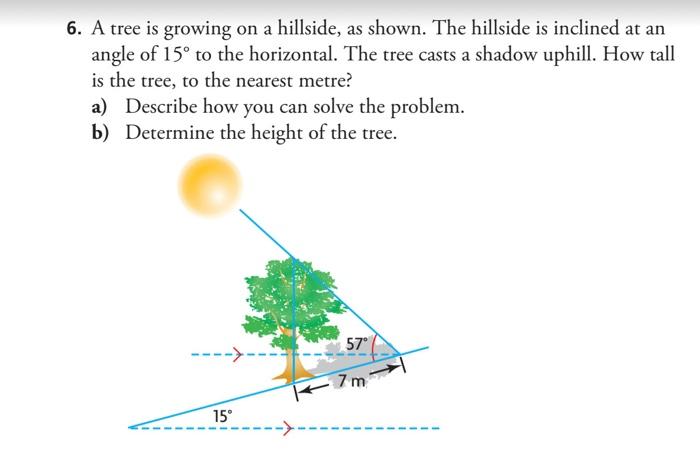 Solved 6. A tree is growing on a hillside, as shown. The | Chegg.com