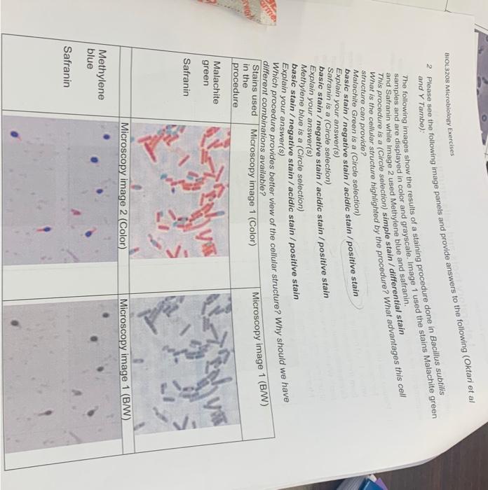 Solved please circle all of the correct answers and provide | Chegg.com