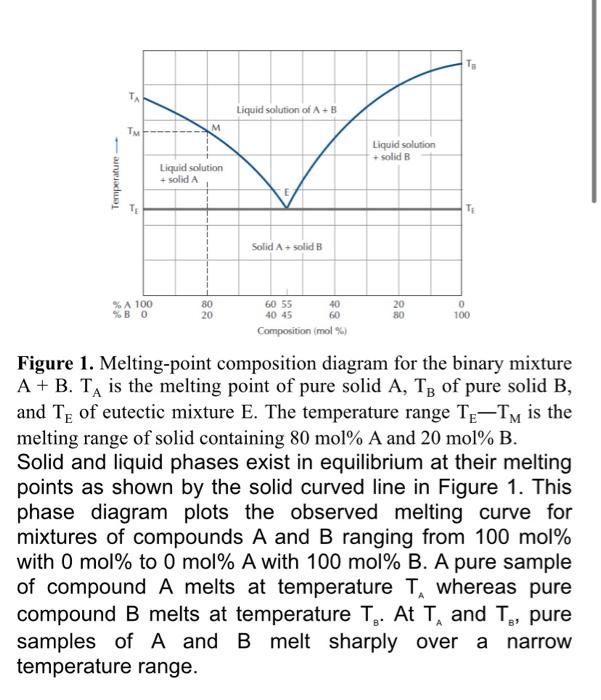 Solved im not understanding how to plot the eutectic point | Chegg.com