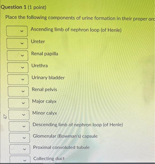 Question 1 (1 point) Place the following components | Chegg.com