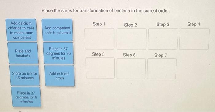 Solved Place the steps for transformation of bacteria in the | Chegg.com