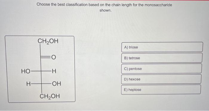 Solved Choose the best classification based on the chain | Chegg.com