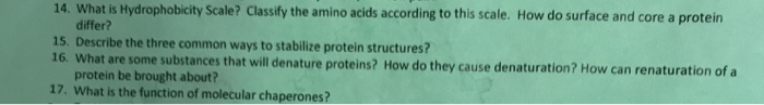 Solved 14. What is Hydrophobicity Scale? Classify the amino | Chegg.com